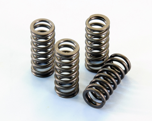 POLINI INLET & EXHAUST VALVE SPRINGS GTS300 - PM Tuning